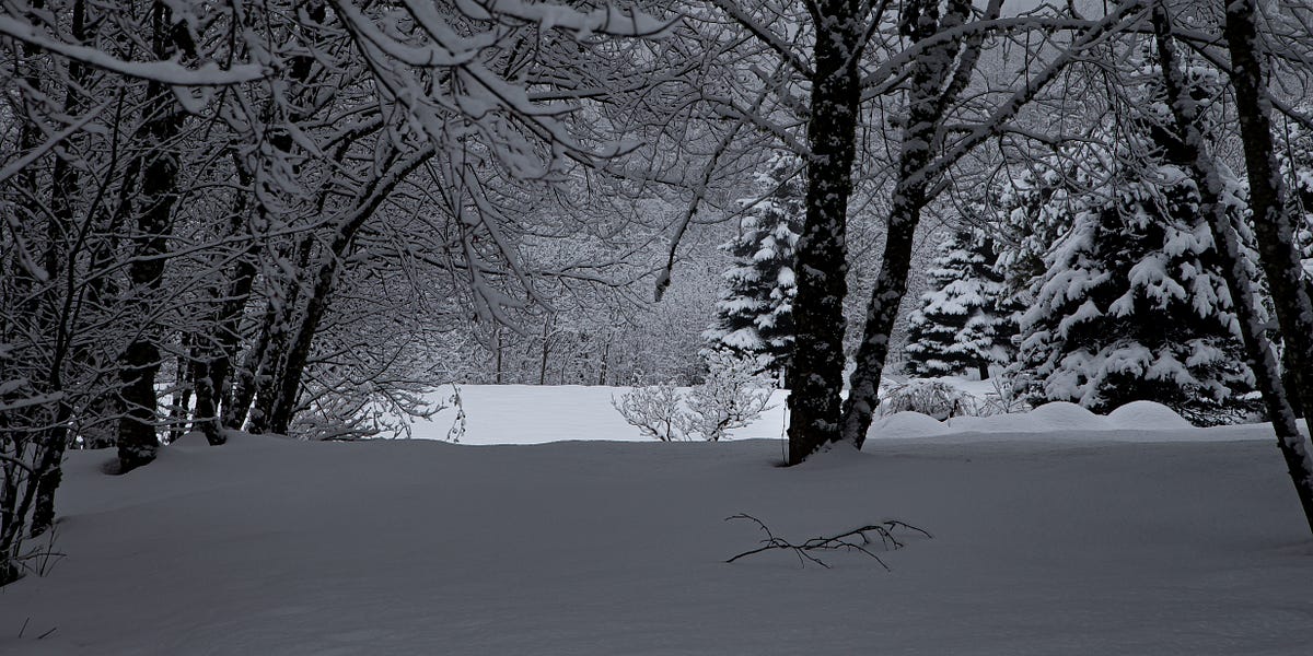 "Do you dream in English?" - by Yi Xue