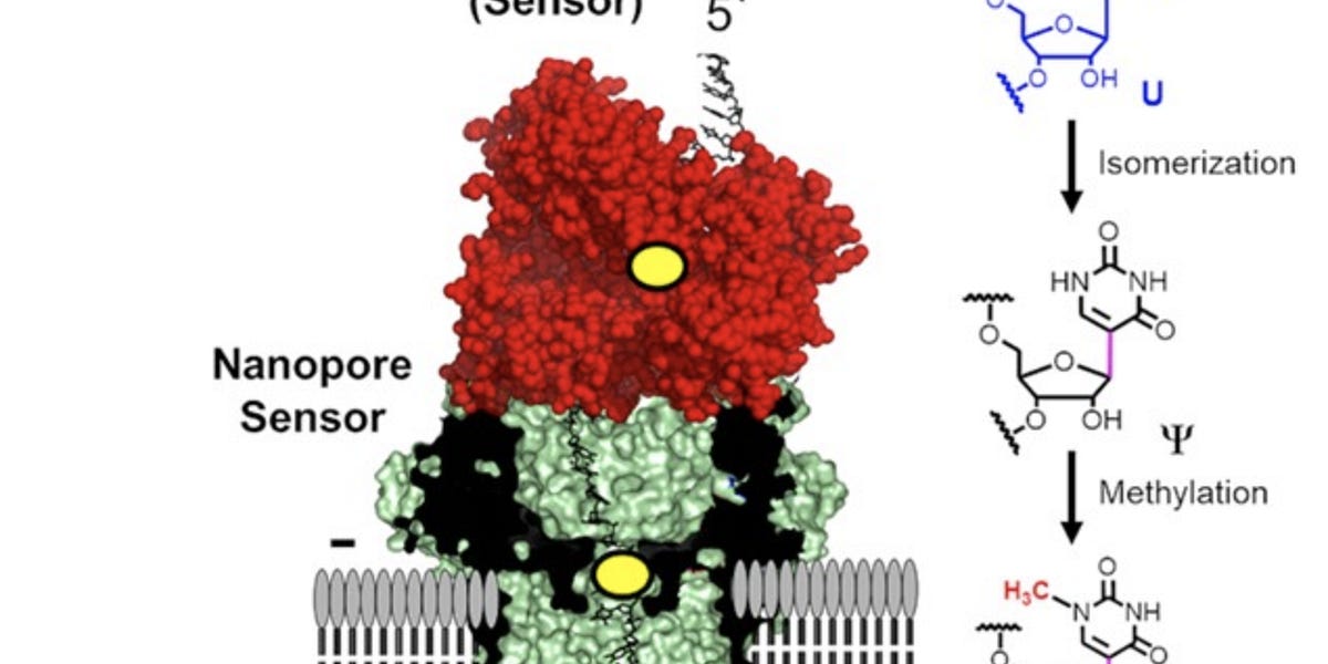 Fluorometer and UV spectra of purified Pfizer and Moderna vaccines