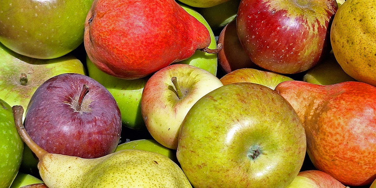 March 2024 Planting Guide and Garden Update