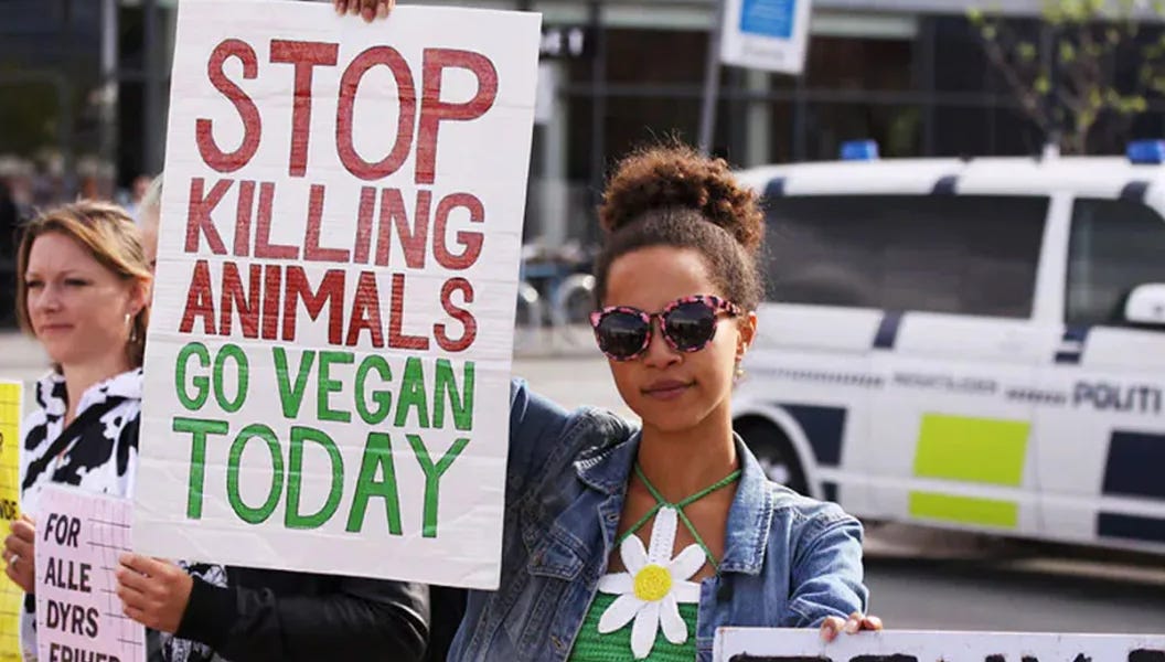 Vegan Activism and Advocacy - by Michael Corthell