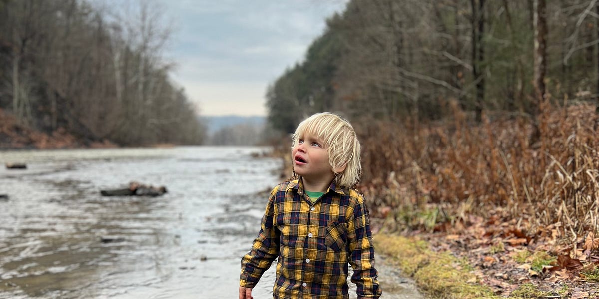 THE PRICKS - by Caroline Manring