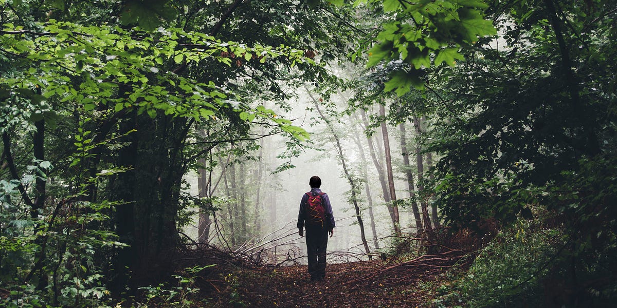 Rewilding the soul - by Peter Gill - Wisdom in the body