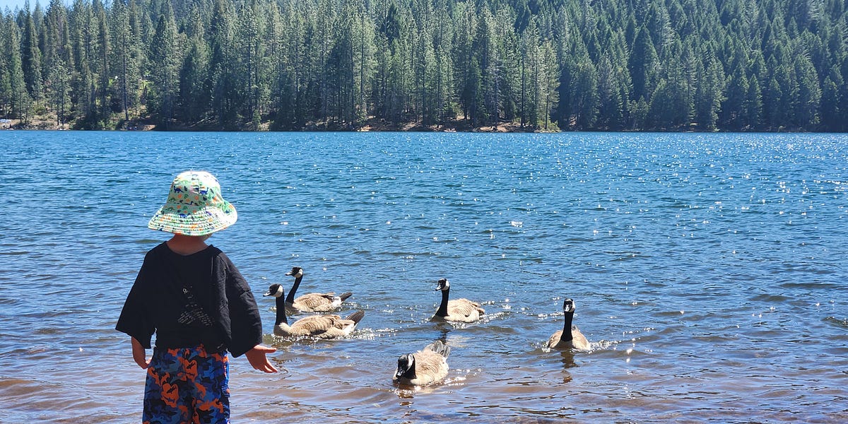 Shiver Me Timbers - by Heather Serrano - TrailmiX