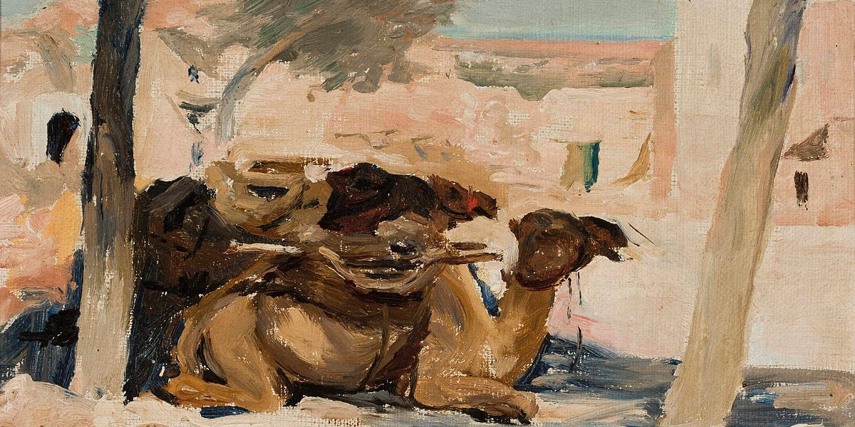 Is It Enough to Tie Your Camel and Trust in God?
