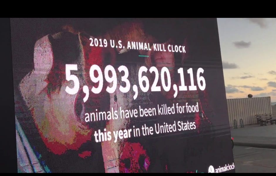The Ticking Toll of Billions of Lives: What is the Animal Kill Clock?