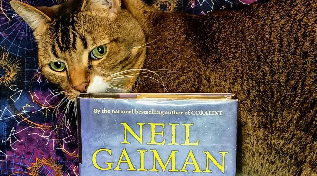 M is for Magic by Neil Gaiman - by Meredith