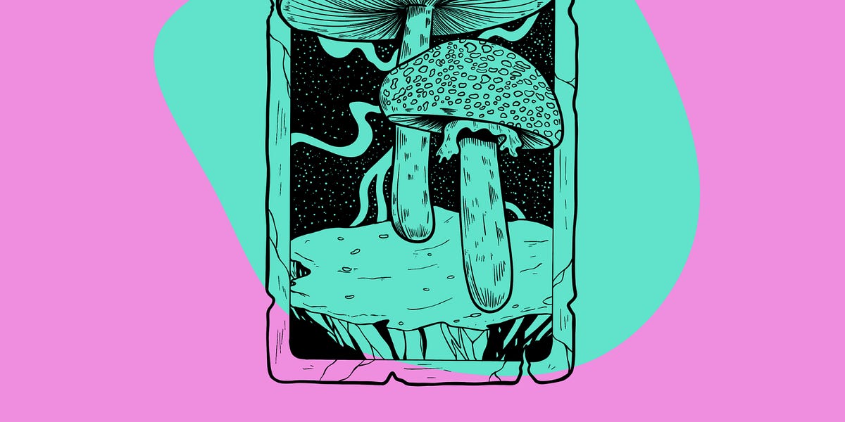 Mycophobia: Why We Fear What We Don’t Understand 🍄