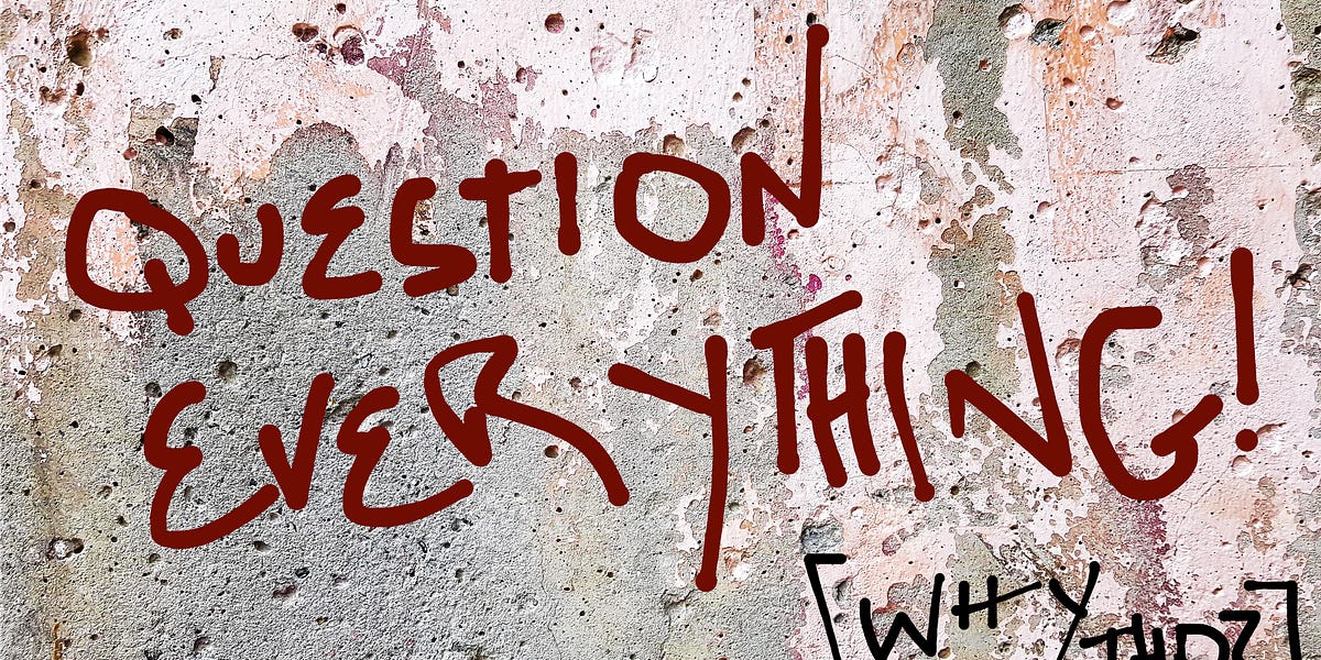 QUESTION EVERY THING - by Evan Shapiro - Media War & Peace