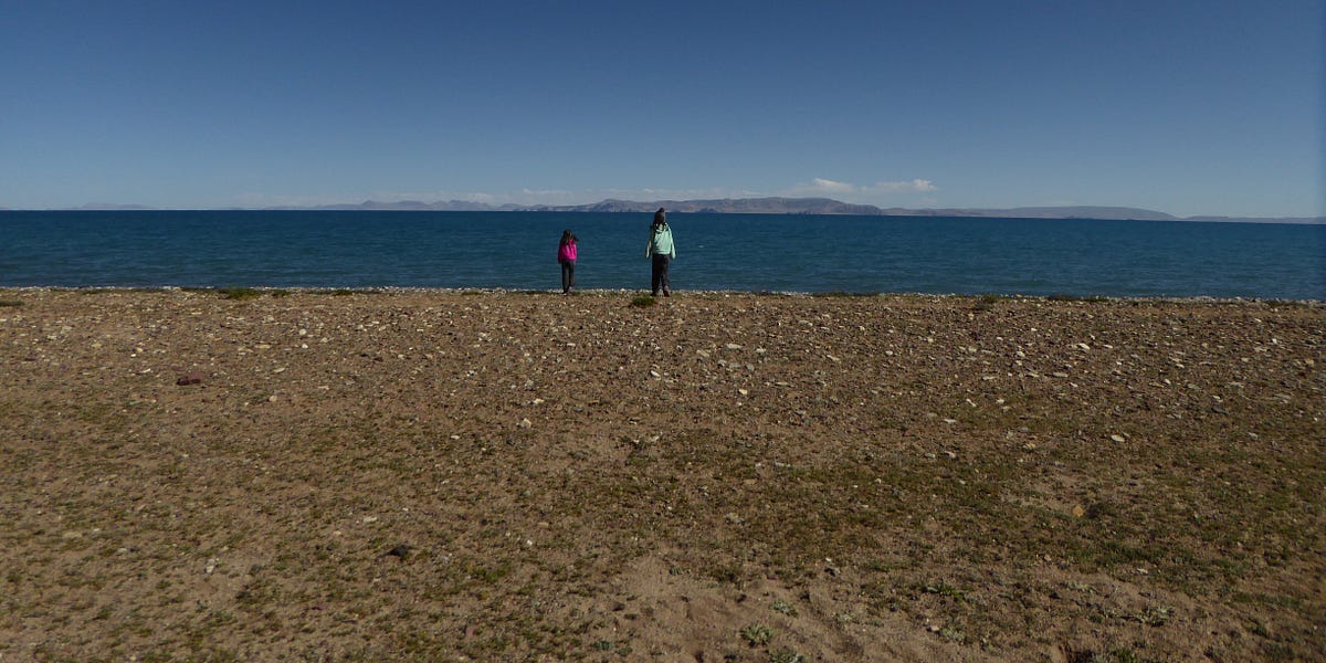 Sharp China: Chips and the Geneva Consensus; US Policy and the Chinese ...