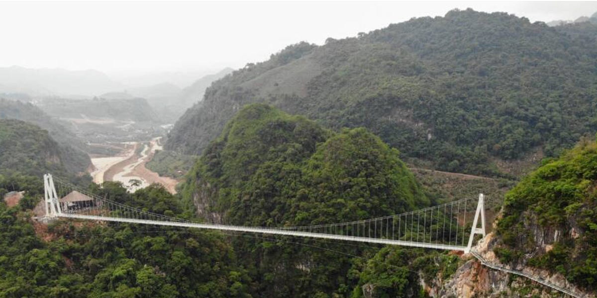 Why Fierce Curiosity? - Suzanne Zeedyk's Substack