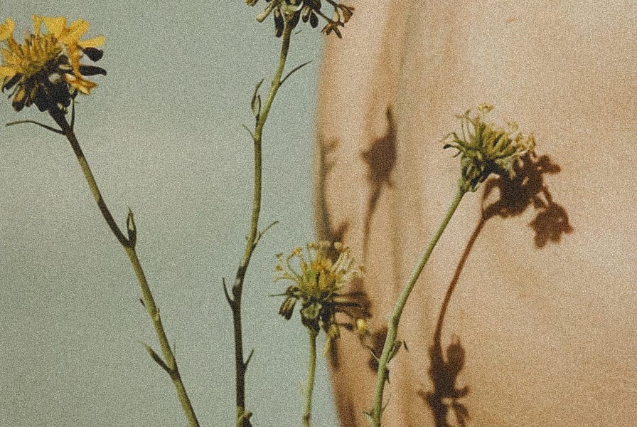 The revolutionary act of cycle tracking - by Grace Hull