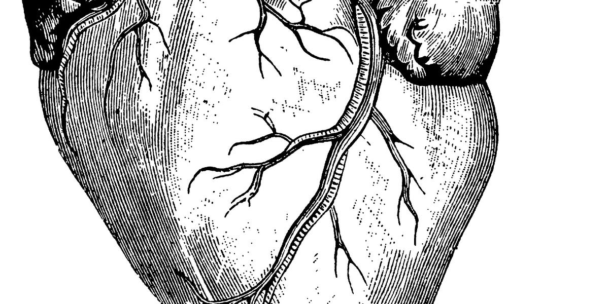 What is true health? - by Dr Sally Bramley