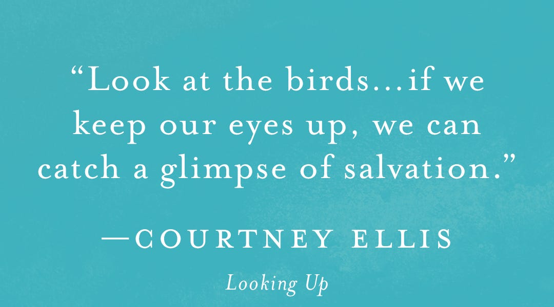 Walking Diaries #7 with Courtney Ellis