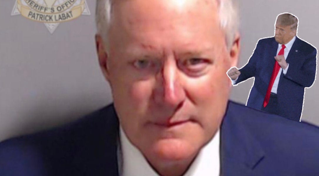 Mugshot Zoom—SUNDAY Noon PST / 3PM EST - by Jim Stewartson