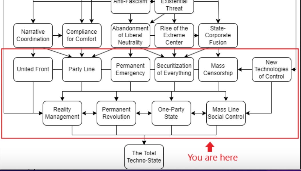 A Complementary Chart from N.S. Lyons - by Meryl Nass