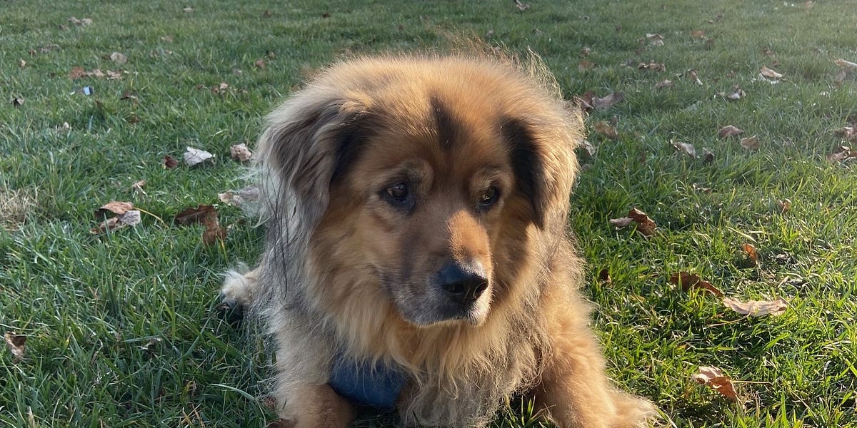 Learning to Live with Death - by Quentin Compson