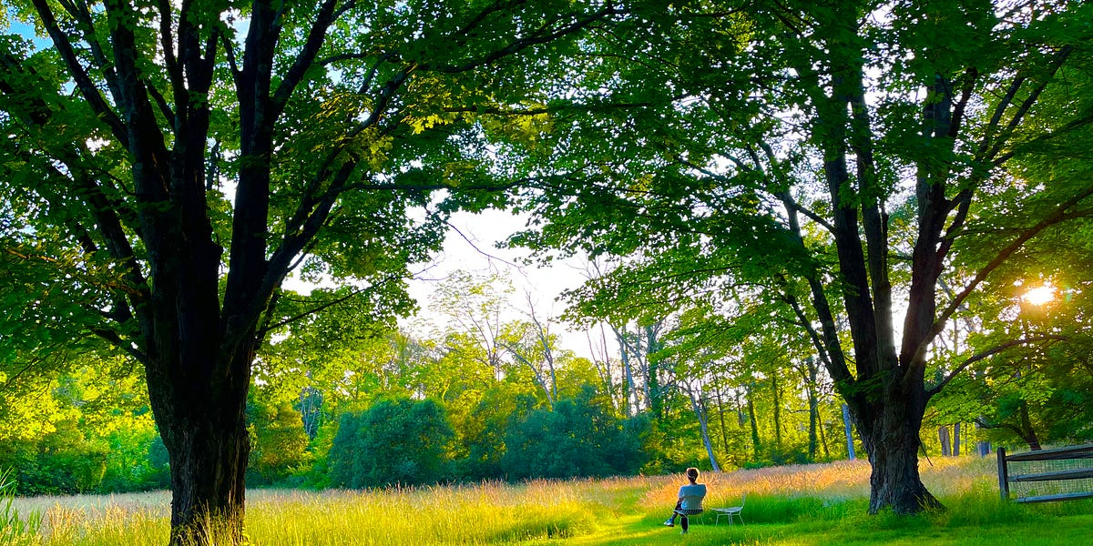 Namaste Notes-Blessings and Issues. - by Noel Casler