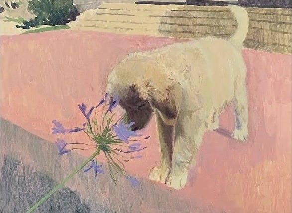 no one's keeping score - by Faith Zapata - faith's core