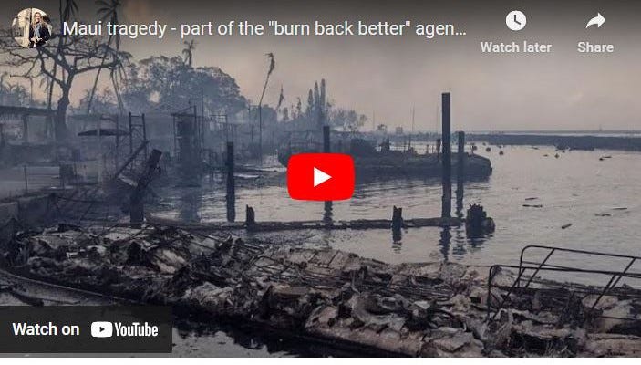 Maui tragedy - part of the 'burn back better' campaign?