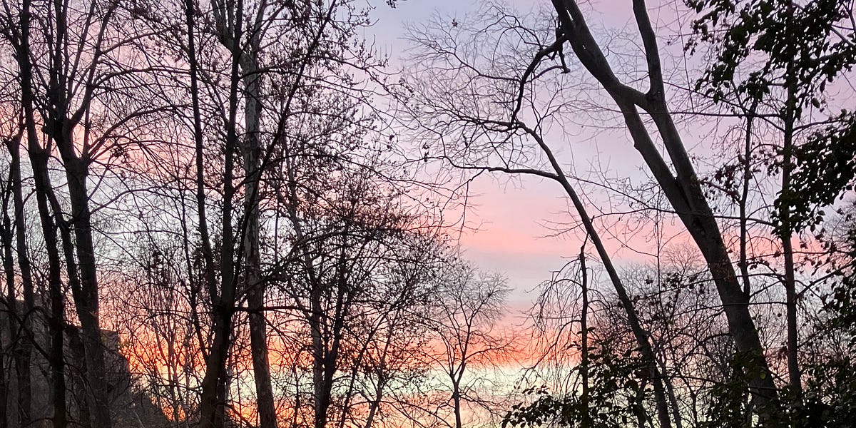 Explanation For Why We Got Cut Off - by Celia Farber