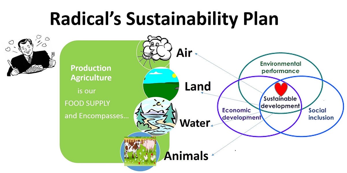 #3 Radical's Sustainability Plan - by Andrea Hutchison