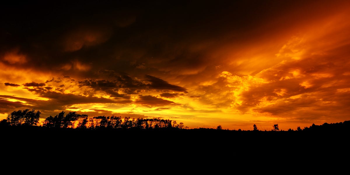 Get Rid of Sin in Your Life - Godcentered Christianity