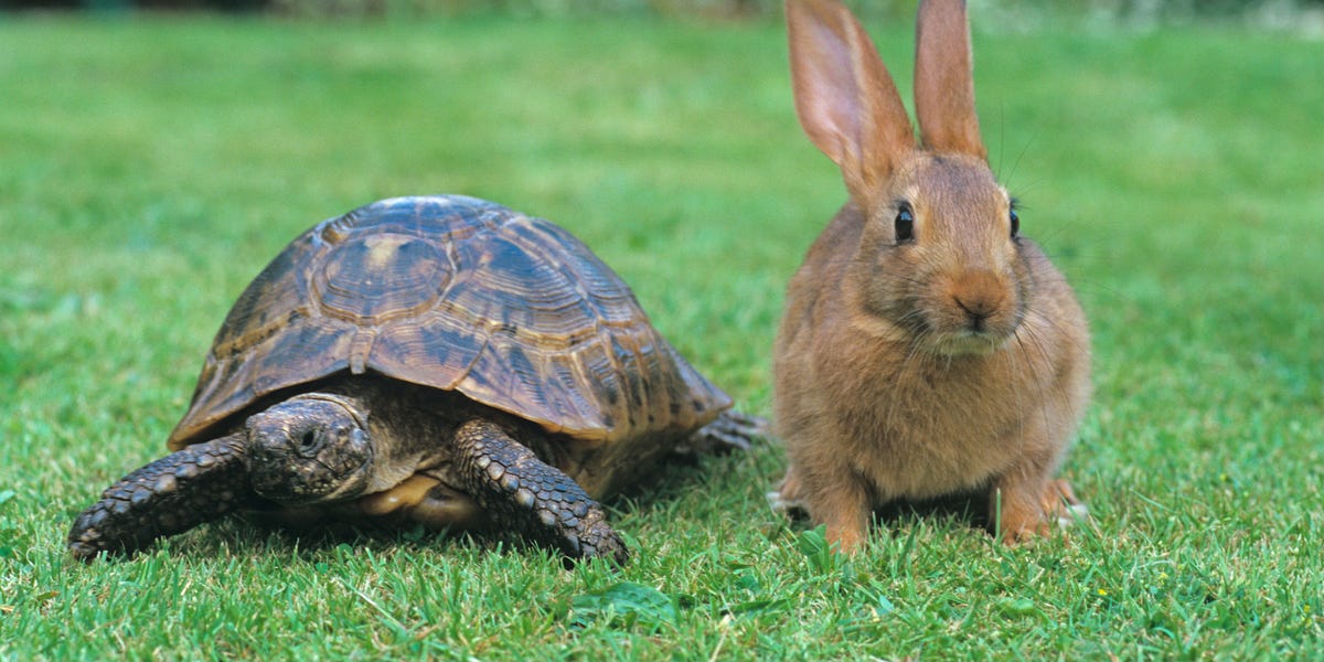 Starmer the Tortoise could offset Trump the Hare and buy time for Europe