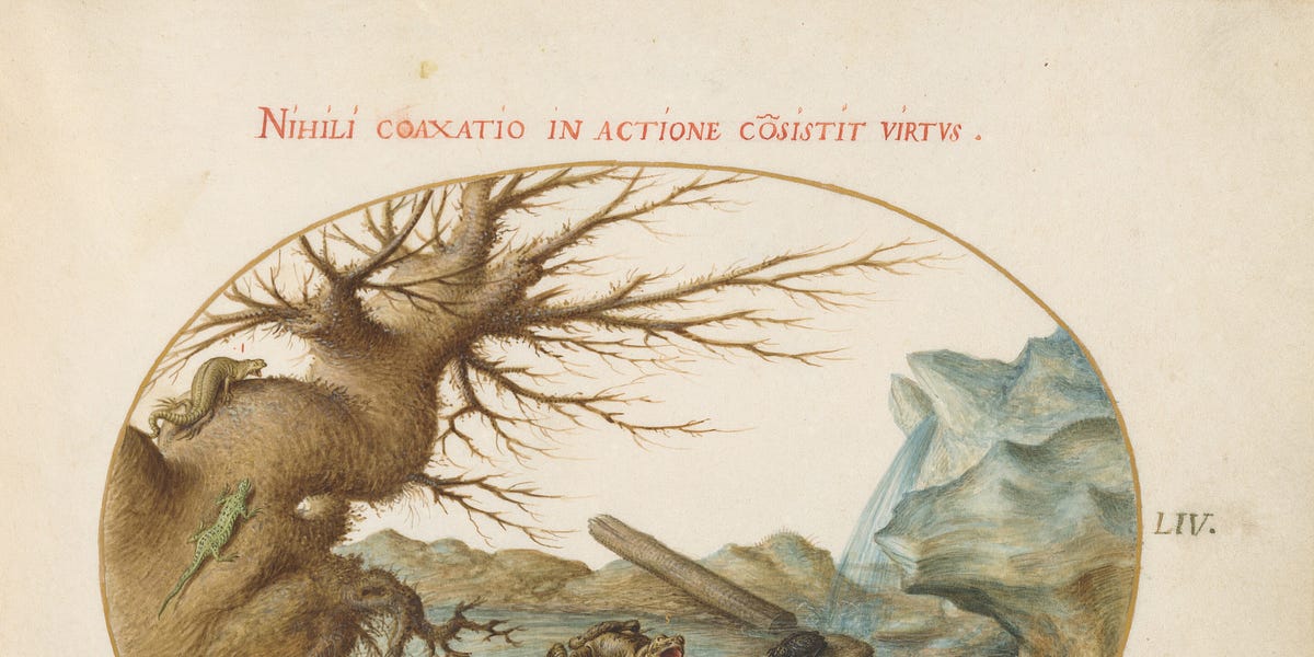 The Amphibious Nature of Humans - by Karla Memmott