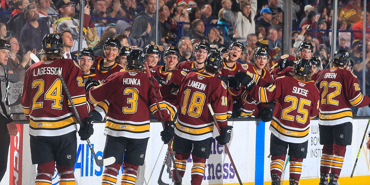 Projecting the Chicago Wolves Roster - Canes Prospects