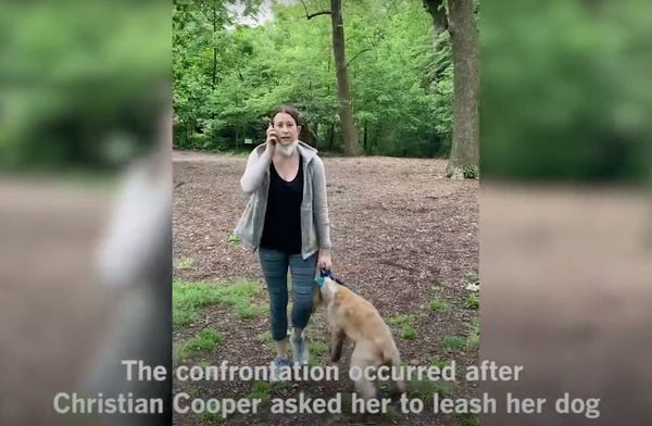 Hey Remember Amy Cooper? Turns Out She's Worse Than Anyone Knew