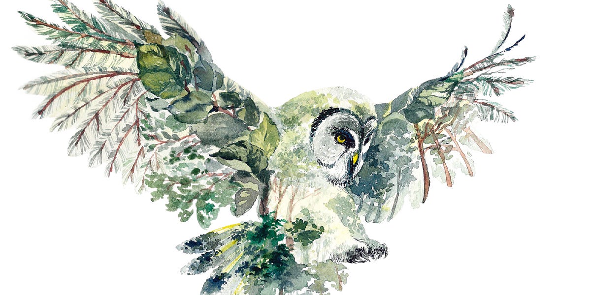 My Substack Recommendations for 2025