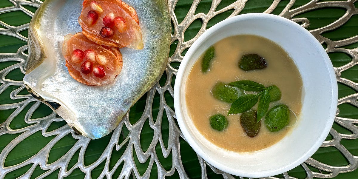 Cold Cherimoya Soup - by Nicholas Gill - New Worlder