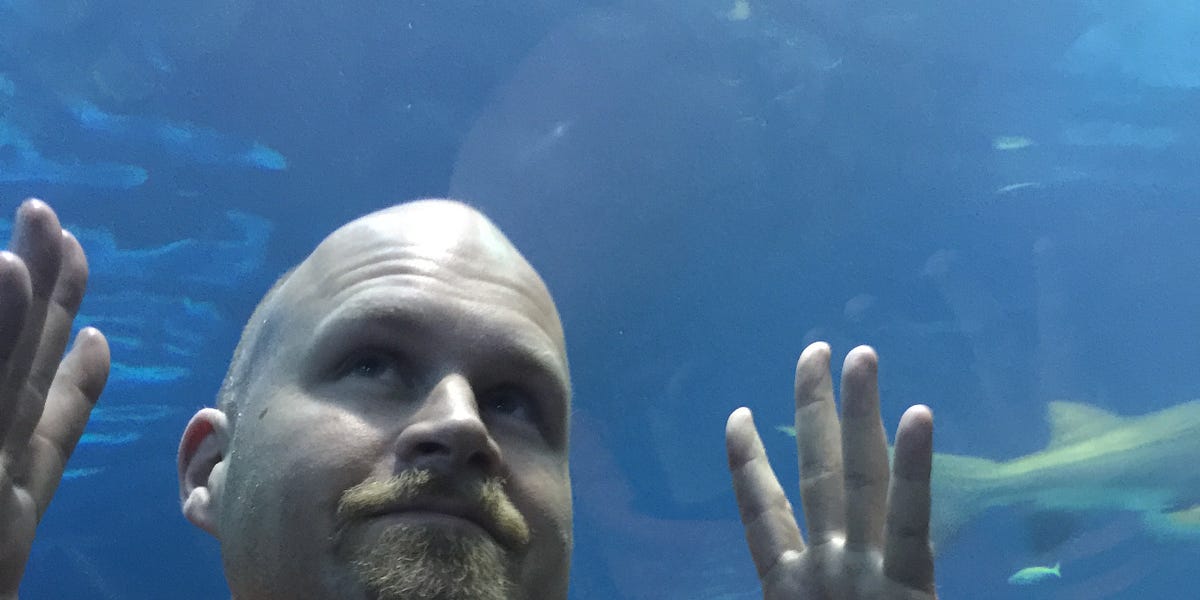 Interview with Rob Kelly of Pod Dylan - by Dr. Jim Salvucci