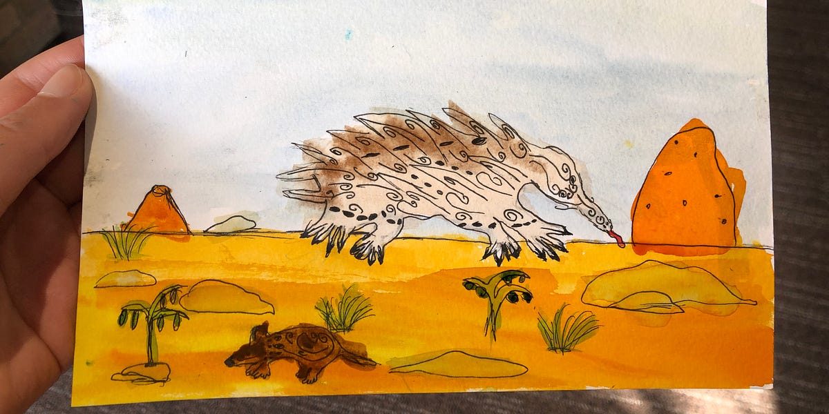 Echidna Drawing and Painting - by Zinia King