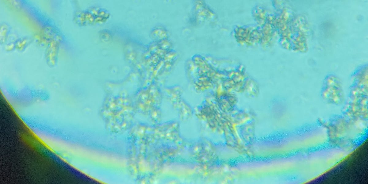 Scope-A-Rama - Proton Magic & Co.