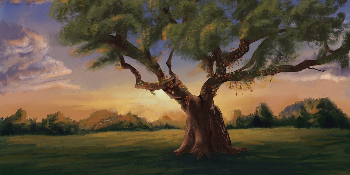 Come and See - by Ashleigh - Wisdom Beneath the Tree