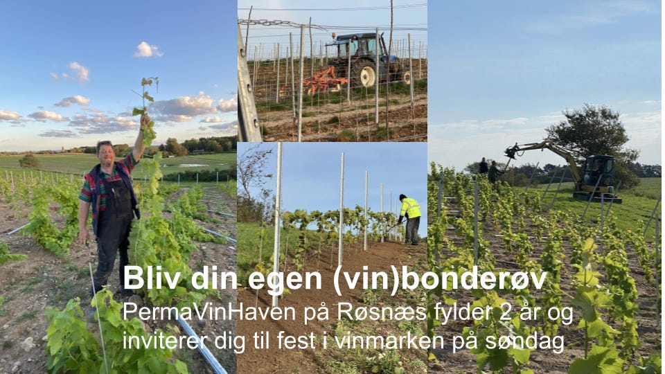 PermaVinHaven på Røsnæs fylder 2 år - by Flemming Blicher