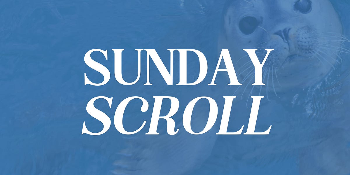 Sunday Scroll #16 - Emily Ley’s Substack