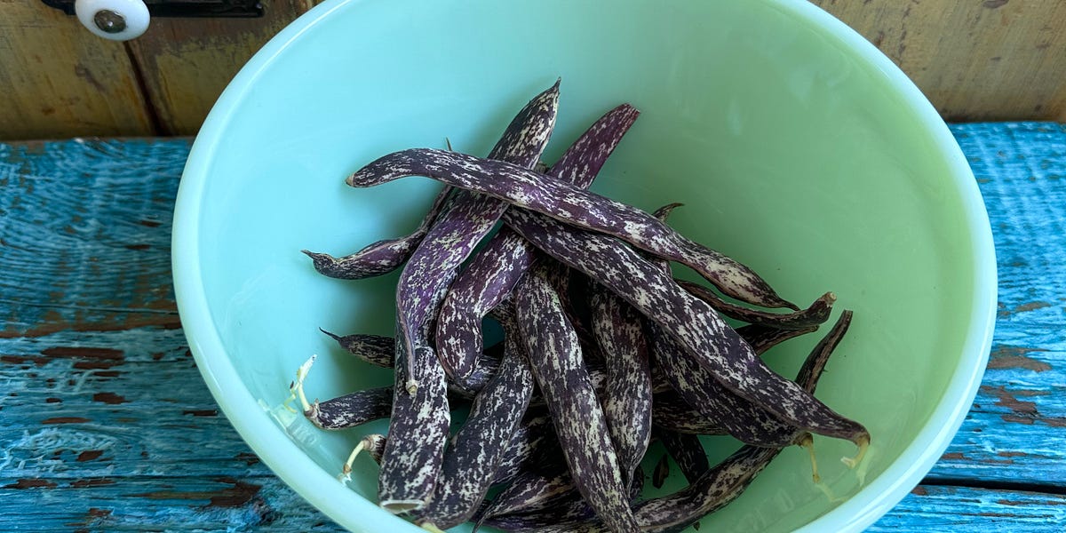 The Ecstatic - by Danusha Laméris - Fleeting Temples