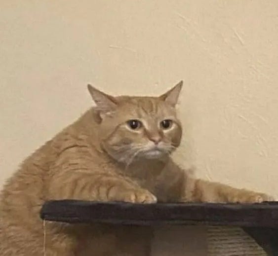 Deploy na Sexta #007: Qual linguagem de programação escolher?