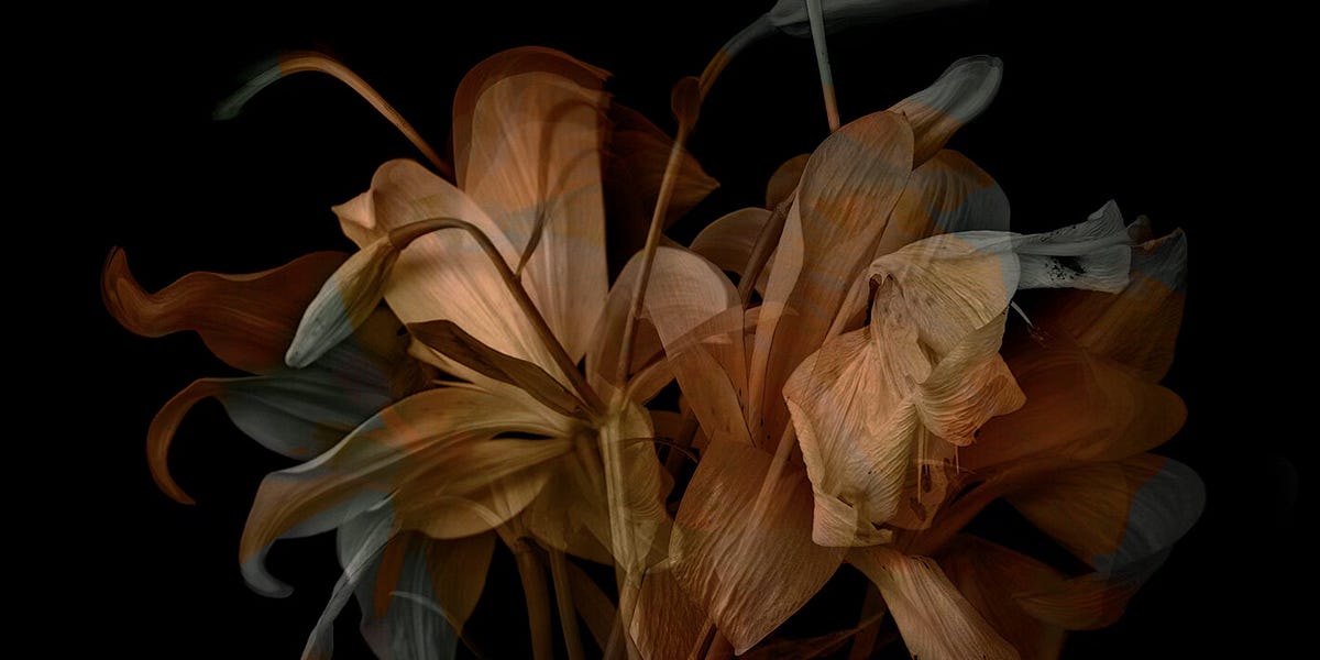 Tine Poppe - PHOTOSNACK