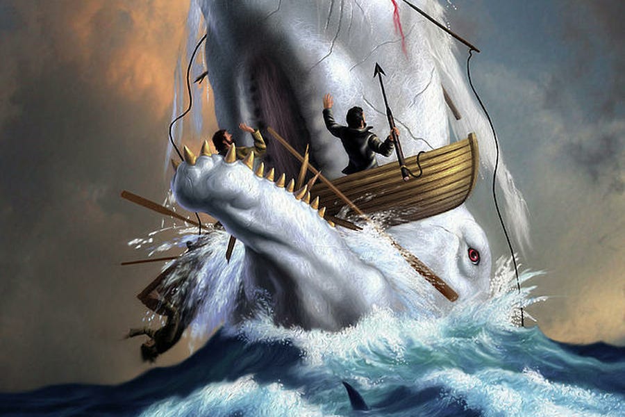 Moby Dick Book Review - by Will Cameron - Will’s Substack