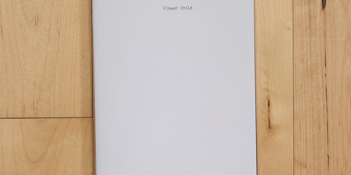 Zine and a new print - Studio Notes: Morgain Bailey