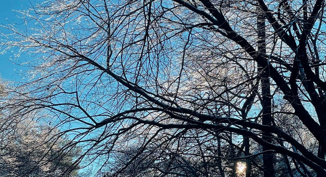 Sneaking Out the Back Door - With and Wonder - Chris Rhoden