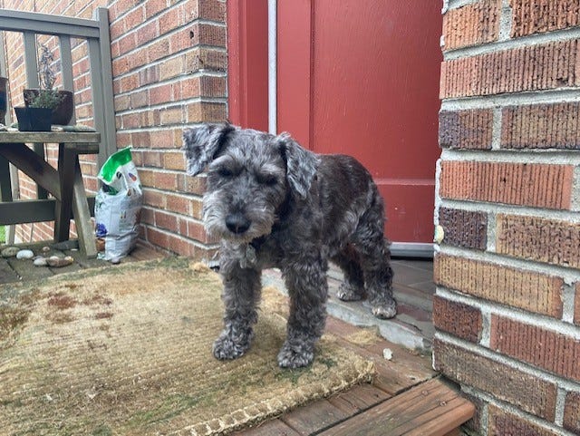 The Passing - by Daniel Hagedorn - The Lodestar