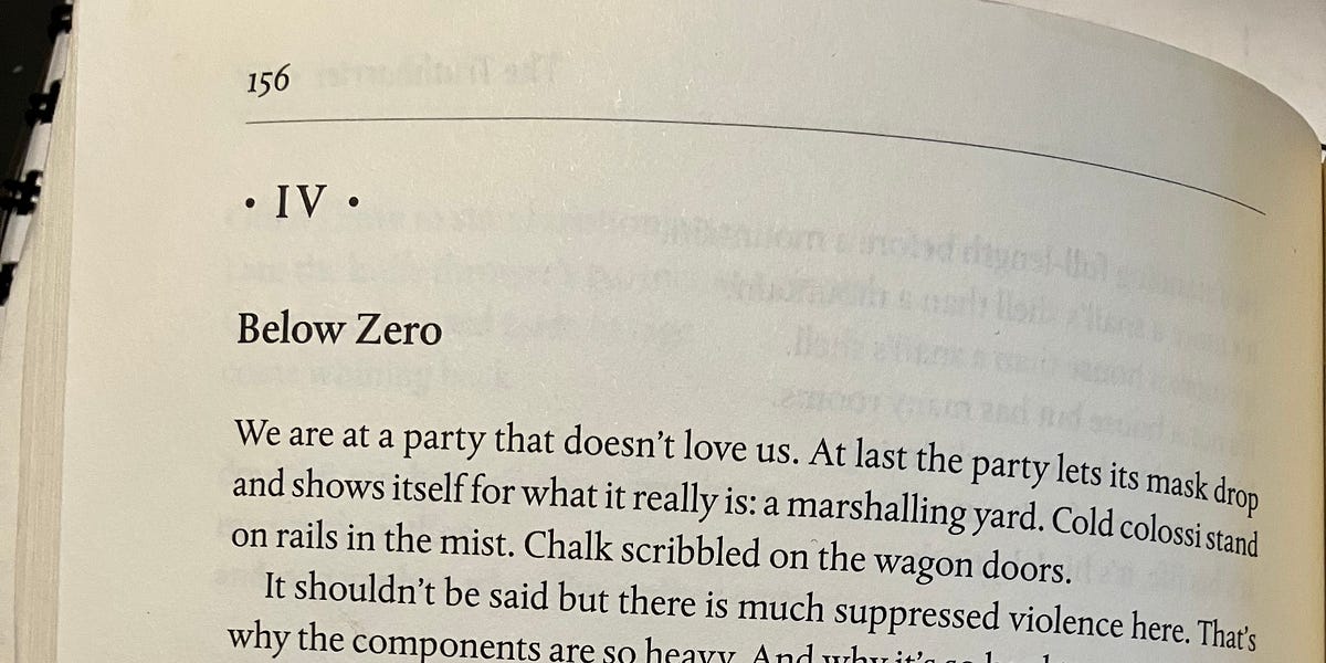 Below Zero—A Poem by (guess!) - by Celia Farber