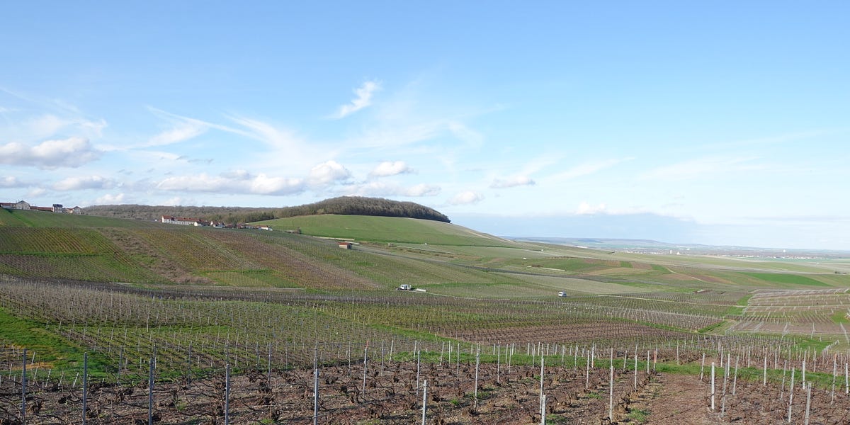 The Brown Shoots of Spring - by Tom Hewson