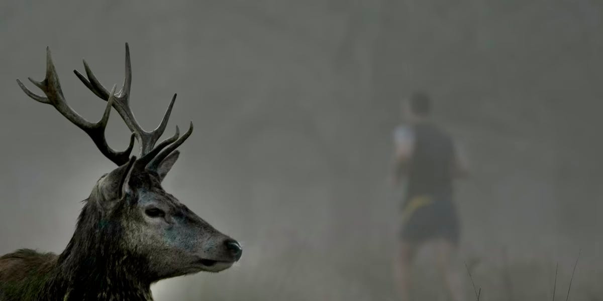 Los desesperados - by Diego Geddes