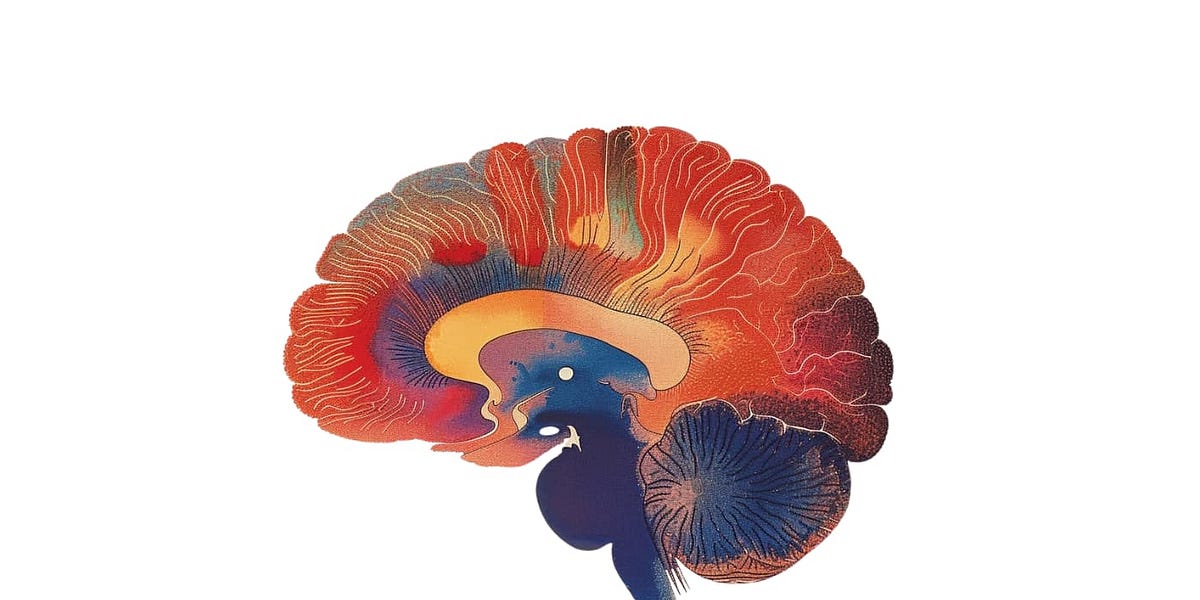 Identity Theory: the Mind is the Brain - by Suzi Travis