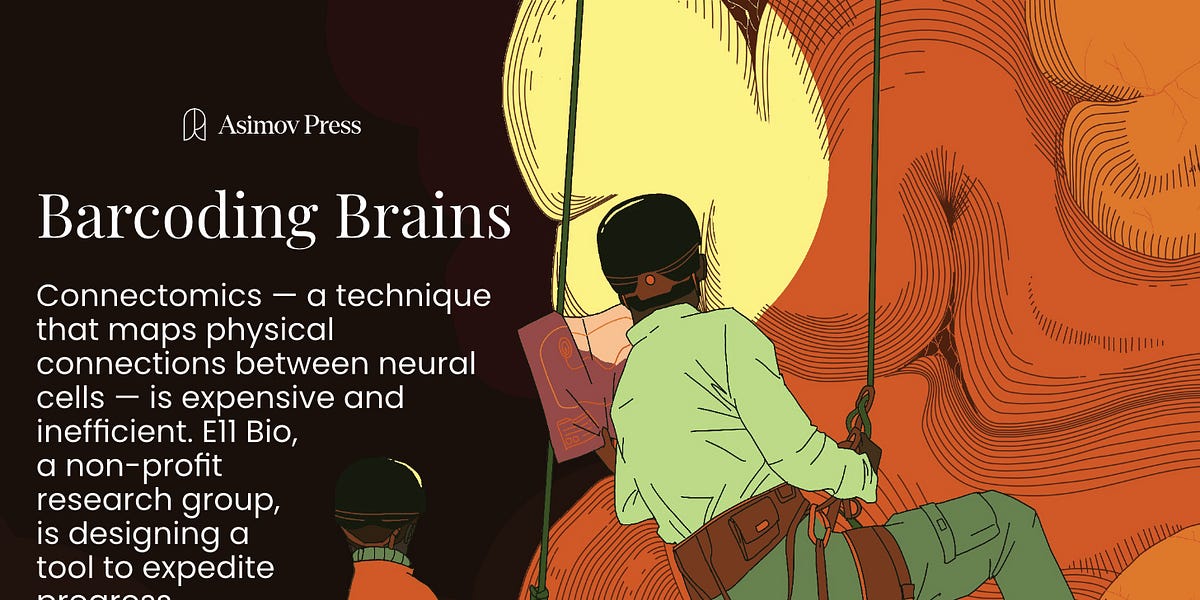 Barcoding Brains - by Alexandra Balwit - Asimov Press